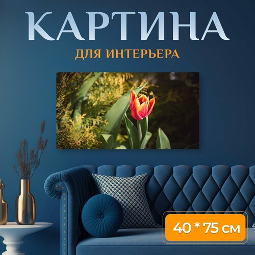 Картина на холсте "Цветок, тюльпан, сад" на подрамнике 75х40 см. для интерьера