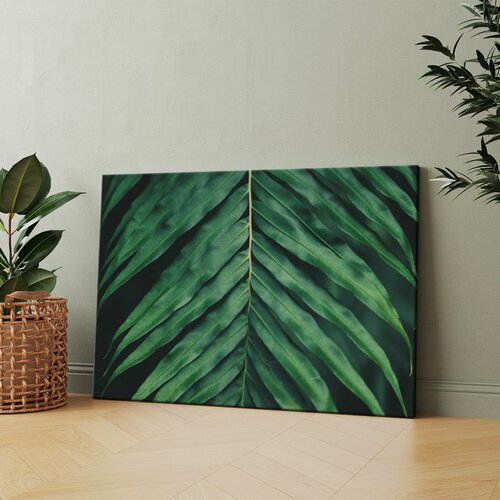 Картина на холсте (Тропические пальмовые листья) 40x60 см. Интерьерная, на стену.