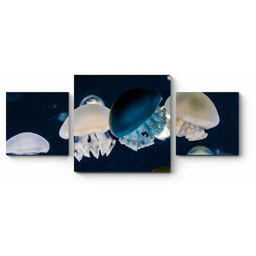 Модульная картина Красивые медузы160x69