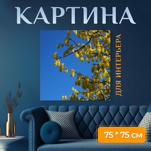 Картина на холсте "Цветущее дерево, жёлтый, голубое небо" на подрамнике 75х75 см. для интерьера