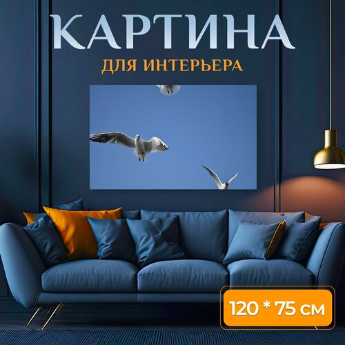 Картина на холсте "Небеса, птица, чайка" на подрамнике 120х75 см. для интерьера