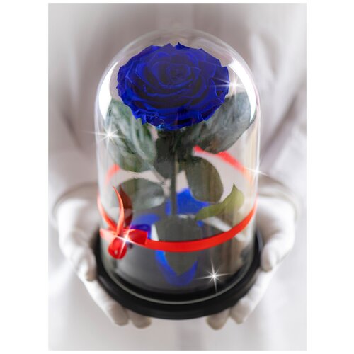 Стабилизированная роза в колбе Therosedome Premium ХИТ 11 см, синяя