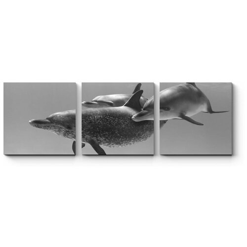 Модульная картина Трио пятнистых дельфинов150x50