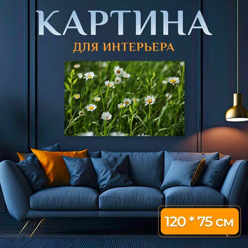 Картина на холсте "Ромашка, цветок, летом" на подрамнике 120х75 см. для интерьера
