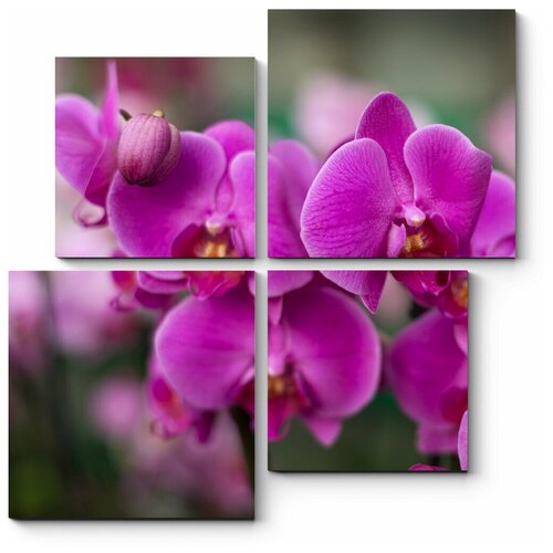Модульная картина Прекрасные и нежные орхидеи 90x90