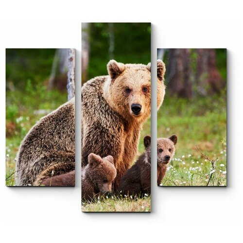 Модульная картина Семья очаровательных медведей 100x90