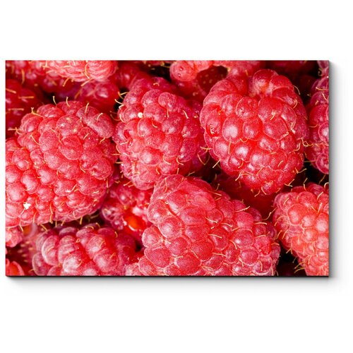 Модульная картина Крупные ягоды малины 60x40