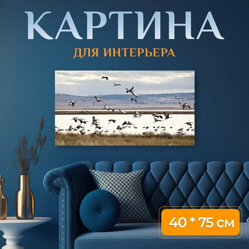 Картина на холсте "Природа, птицы, лагуна" на подрамнике 75х40 см. для интерьера