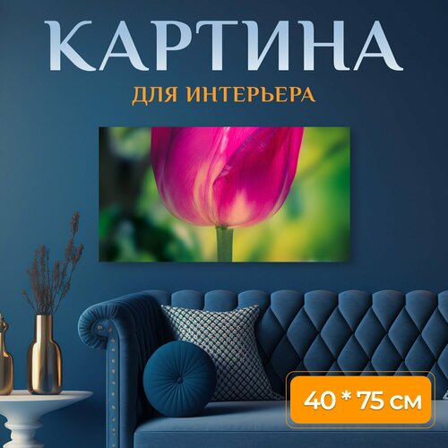 Картина на холсте "Тюльпан, зерно, цветок" на подрамнике 75х40 см. для интерьера