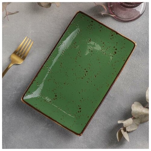 Блюдо прямоугольное «Созвездие», 22×14 см, цвет зелёный