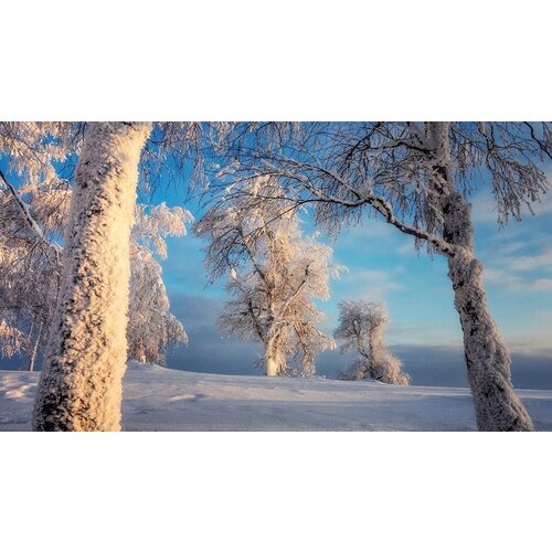 Картина на холсте 60x110 LinxOne "Зима деревья Осипов Ёжъ" интерьерная для дома / на стену / на кухню / с подрамником