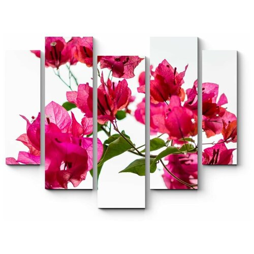 Модульная картина Розовая бугенвиллея 161x131