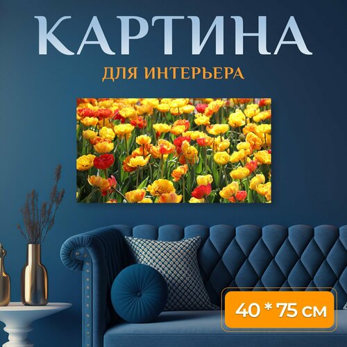 Картина на холсте "Цветы, луг, яркие" на подрамнике 75х40 см. для интерьера