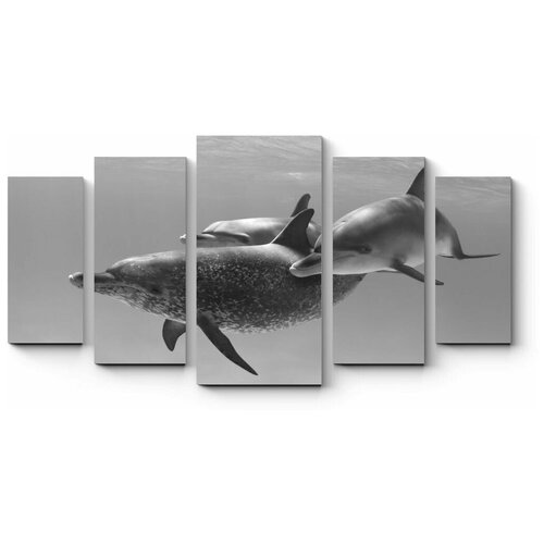 Модульная картина Трио пятнистых дельфинов100x55