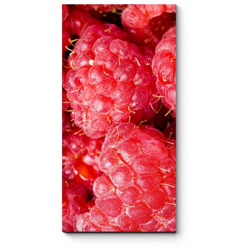 Модульная картина Крупные ягоды малины 100x200