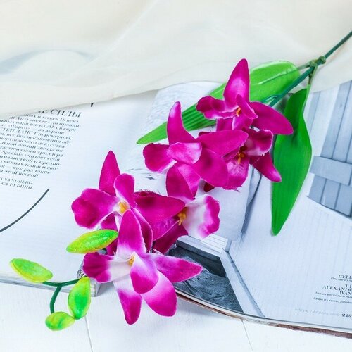 Цветы искусственные "Орхидея гастрорхис" 70 см, бело-фиолетовый