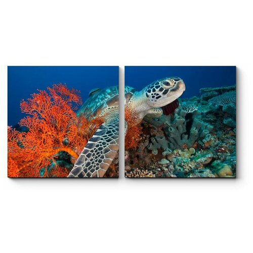 Модульная картина Морская черепаха в кораллах60x30