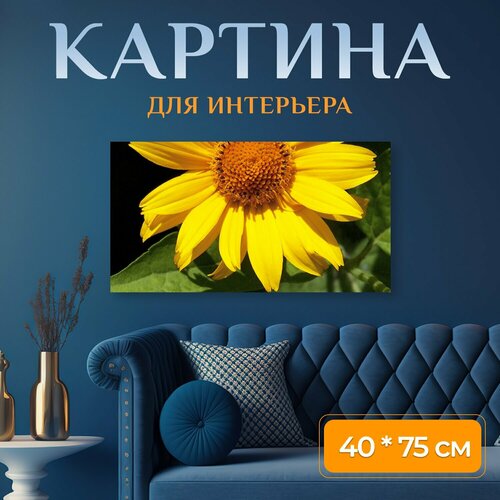 Картина на холсте "Цветок, лепестки, желтый цветок" на подрамнике 75х40 см. для интерьера