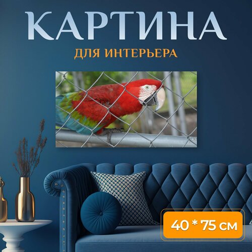 Картина на холсте "Птица, попугай, клюв" на подрамнике 75х40 см. для интерьера