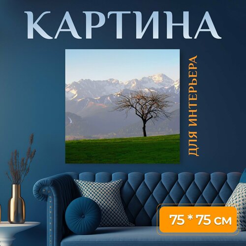 Картина на холсте "Татры, дерево, пейзаж" на подрамнике 75х75 см. для интерьера