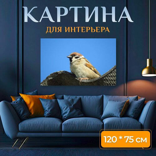 Картина на холсте "Воробей, птица, природа" на подрамнике 120х75 см. для интерьера
