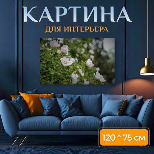 Картина на холсте "Цветы, лепестки, листья" на подрамнике 120х75 см. для интерьера