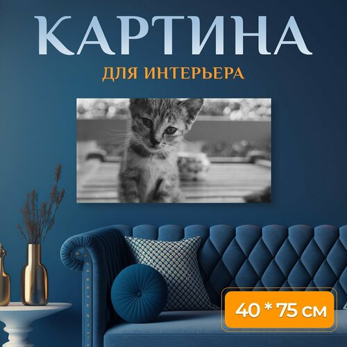Картина на холсте "Кот, котенок, кошка ребенок" на подрамнике 75х40 см. для интерьера