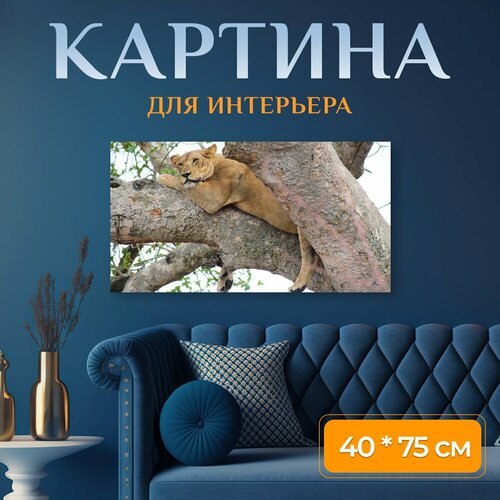 Картина на холсте "Ишаша, лев, лазание по деревьям" на подрамнике 75х40 см. для интерьера