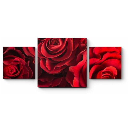Модульная картина Бархатные розы 120x51
