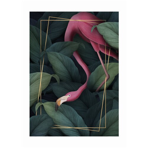 Постер / Плакат / Картина Фламинго в золотой рамке 60х90 см в подарочном тубусе