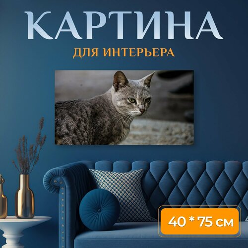 Картина на холсте "Кошка, домашний питомец, животное" на подрамнике 75х40 см. для интерьера
