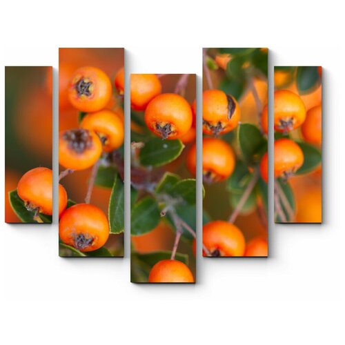 Модульная картина Спелые ягоды рябины 121x98