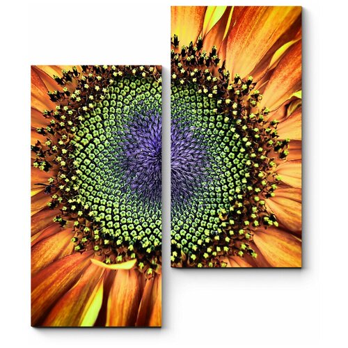 Модульная картина Внутри цветка солнца 90x113