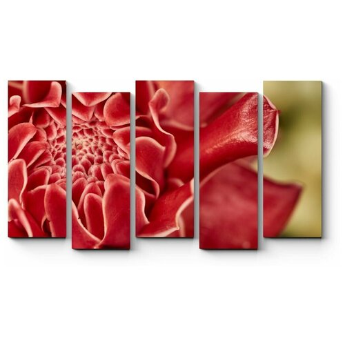 Модульная картина Сердце тропического цветка210x121