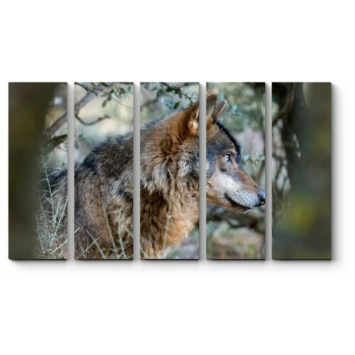 Модульная картина Волк спрятался между деревьями 130x78