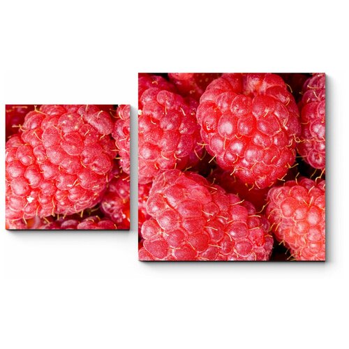 Модульная картина Крупные ягоды малины 100x60