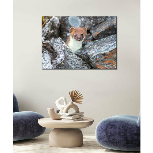 Картина - Горностай, уральский горностай, горностай в лесу (15) 60х80