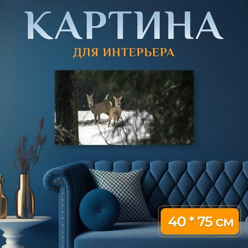Картина на холсте "Европейская косуля, капреолус капреолус, лес" на подрамнике 75х40 см. для интерьера