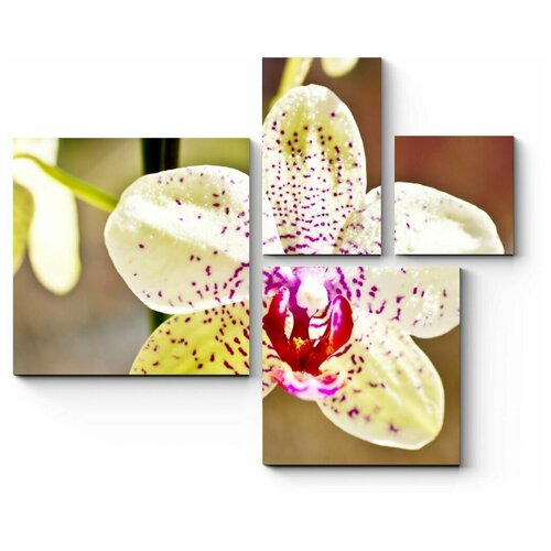 Модульная картина Тигровая орхидея 102x85