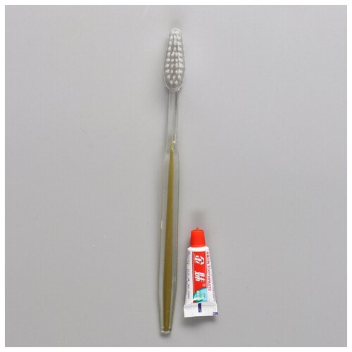 Зубной набор в пакете: зубная щётка 18 см + зубная паста 3 г