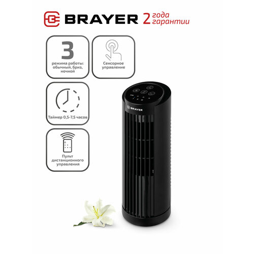 Настольный вентилятор BRAYER BR4978