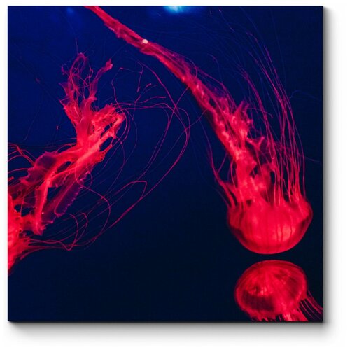 Модульная картина Алая медуза 30x30
