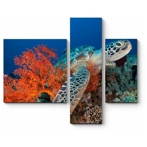 Модульная картина Морская черепаха в кораллах100x83