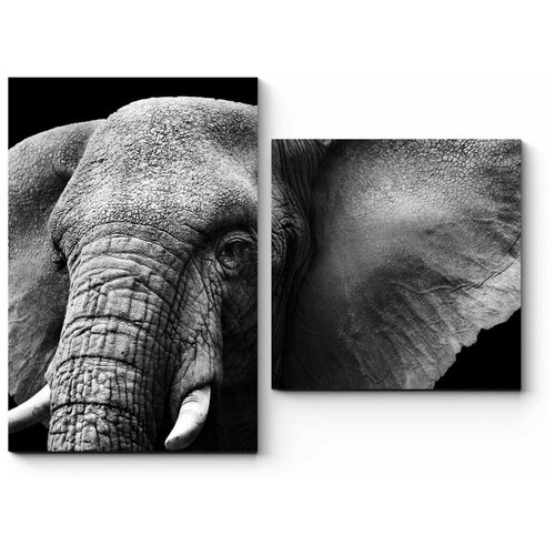 Модульная картина Портрет слона60x45