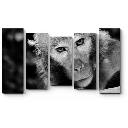 Модульная картина Портрет харизматичной обезьянки100x60
