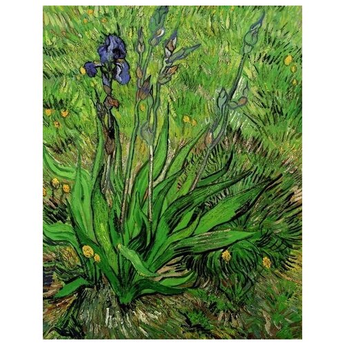 Репродукция на холсте Ирис (The Iris) Ван Гог Винсент 40см. x 52см.