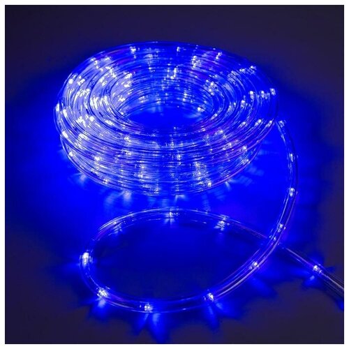 LED шнур 10 мм, круглый, 10 м, чейзинг, 2W-LED/м-24-220V, с контр. 8р, синий