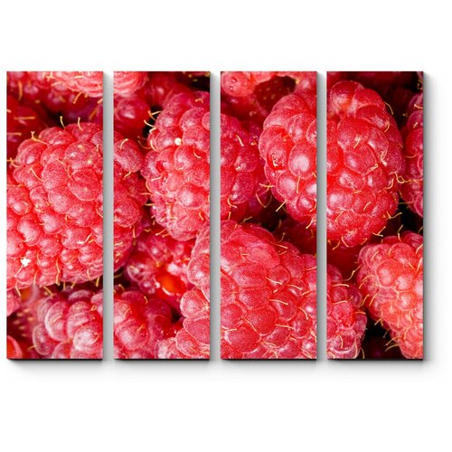 Модульная картина Крупные ягоды малины 100x75