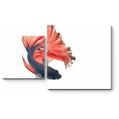 Модульная картина Роскошная рыба 50x30