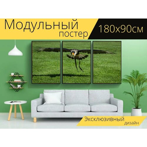 Модульный постер "Птицы, трава, природа" 180 x 90 см. для интерьера